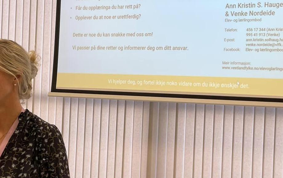 Karriereknappene i møte med elever og lærlinger | Kvalitet i karriereveiledning